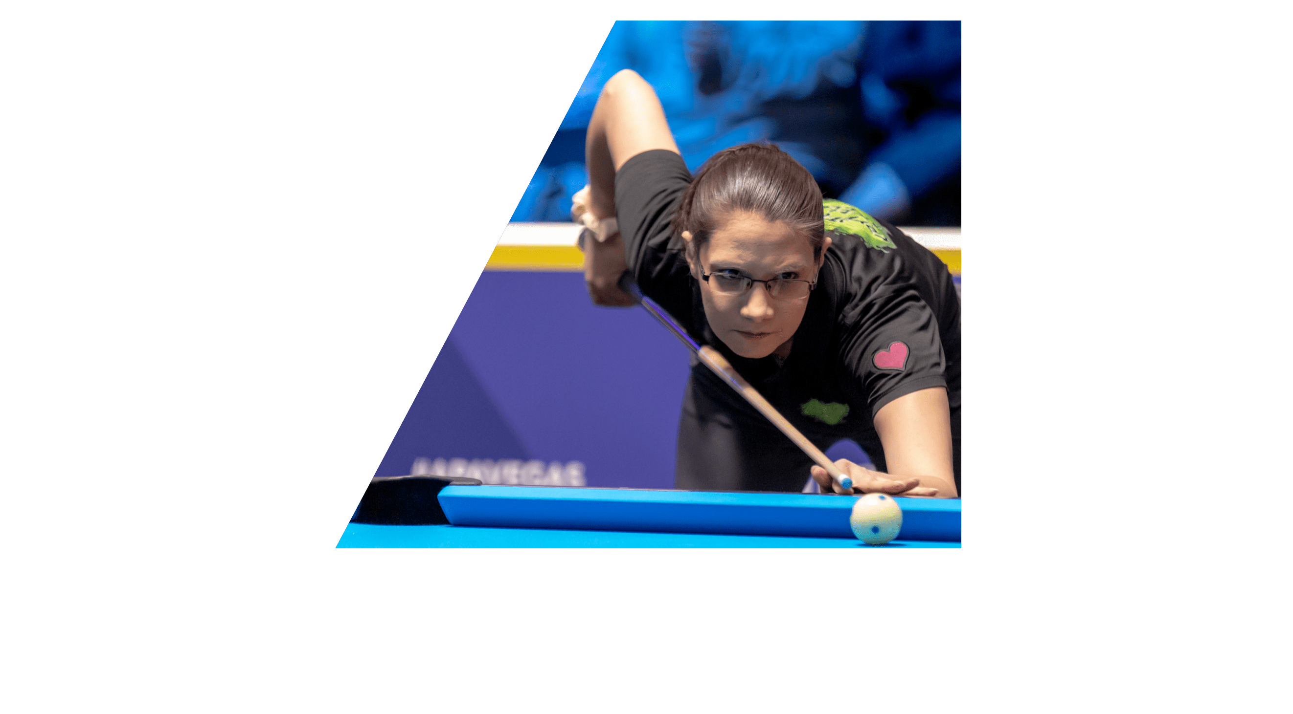 World's Largest Pool League | American Poolplayers Association